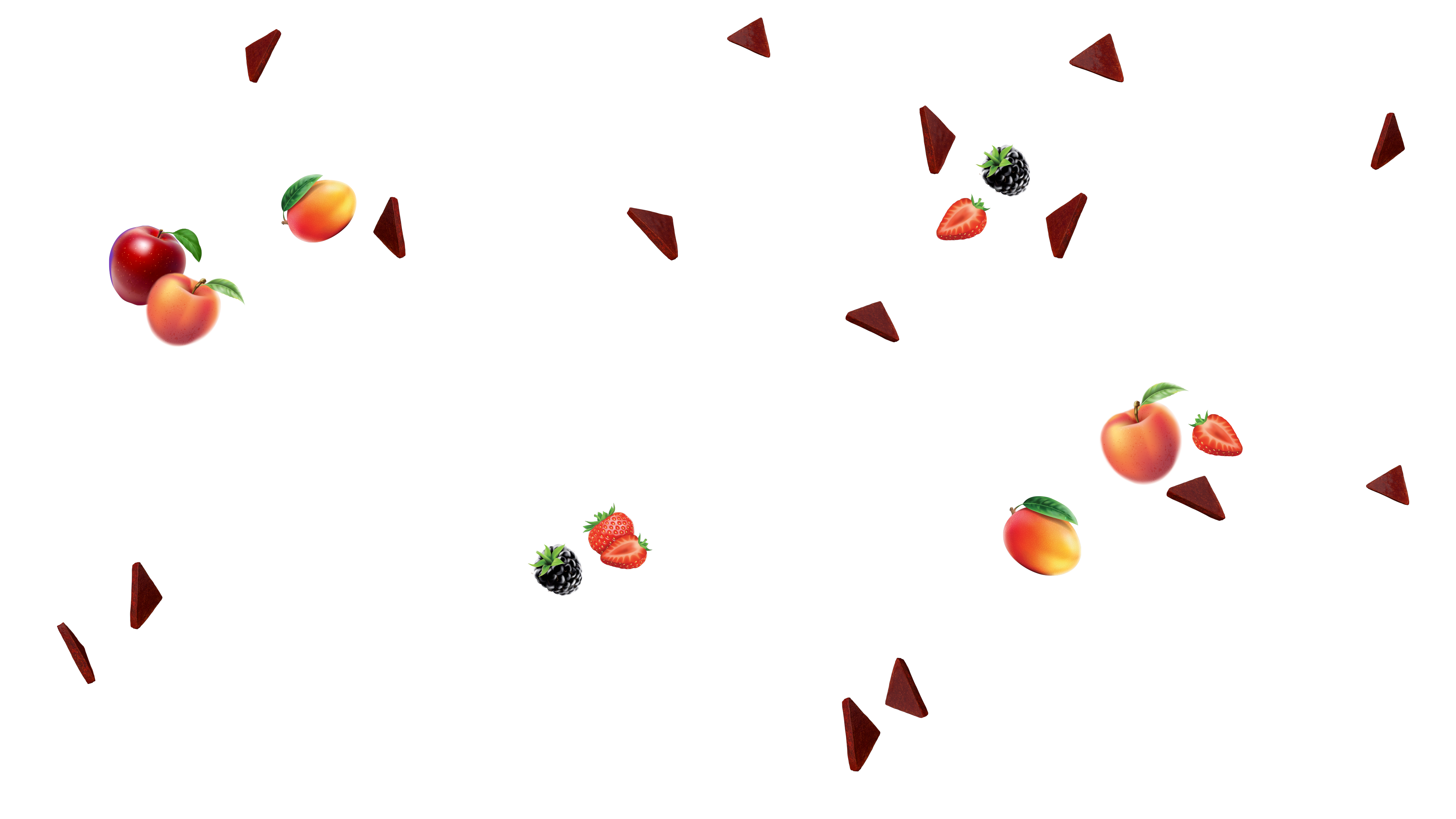 100% FRUIT, NO ADDED SUGAR – Chum Fruit Bites